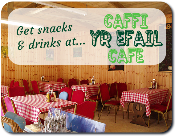 Rabbit Farm – Dwyfor Rabbit Farm and Animal Park